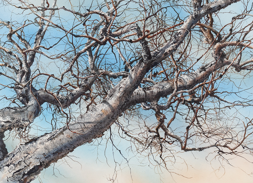 Miller Art Museum Collections