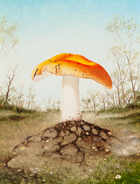 Miller Art Museum Collections