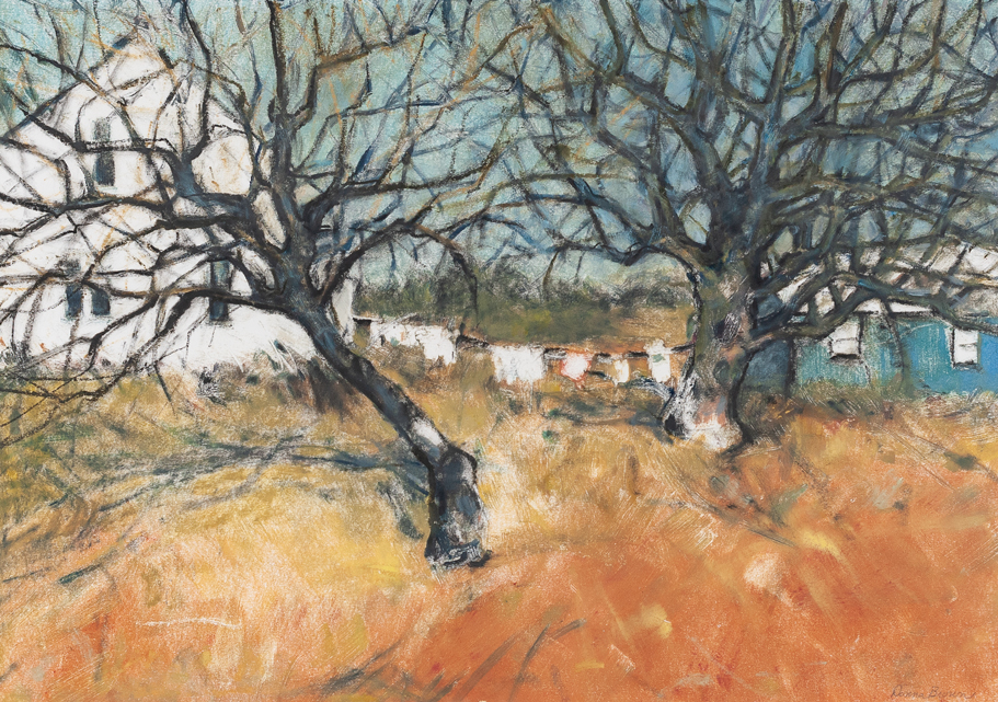 Miller Art Museum Collections